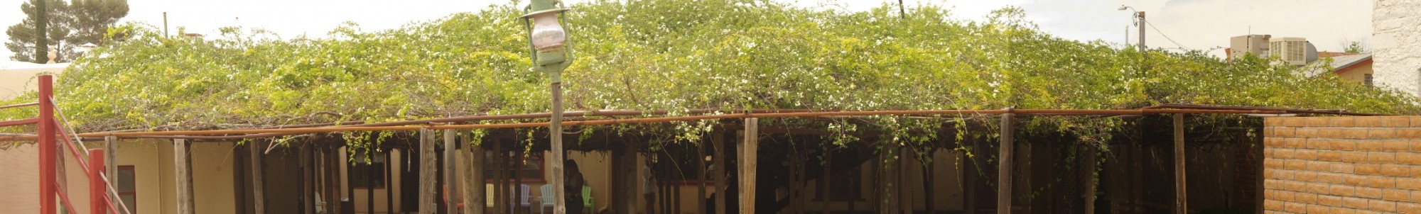 Tombstone's Rose Tree Festival is near a San Pedro River BnB Down by ...