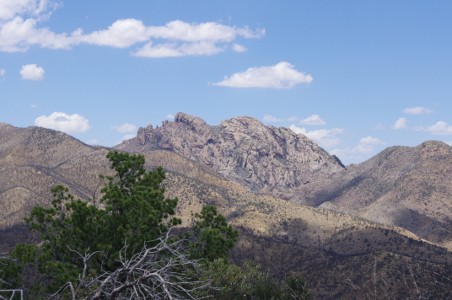 Chiricahua National Monument BnB - Down by the River Bed and Breakfast ...