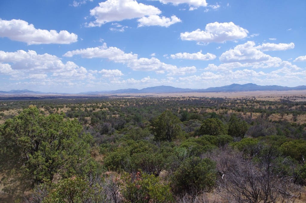 The San Rafael Valley is a state park South Of Patagonia, Arizona Down ...